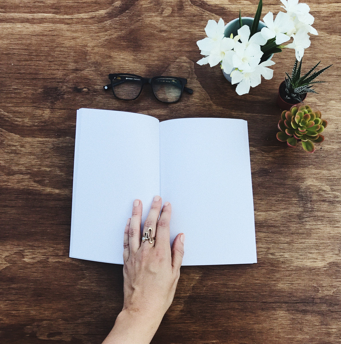 THRIVE – Twin Sparrow